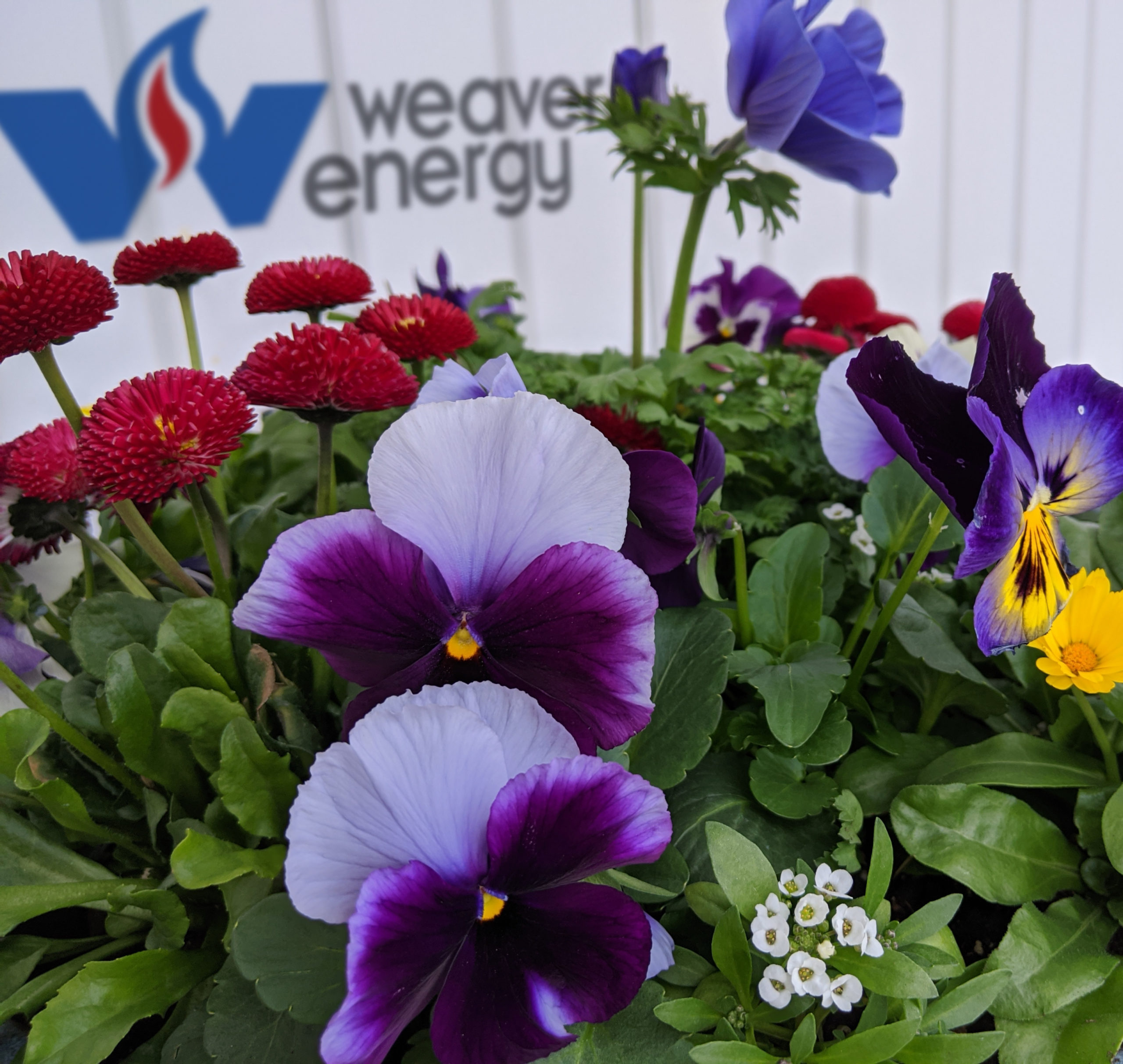 weaver energy is ready to serve you.